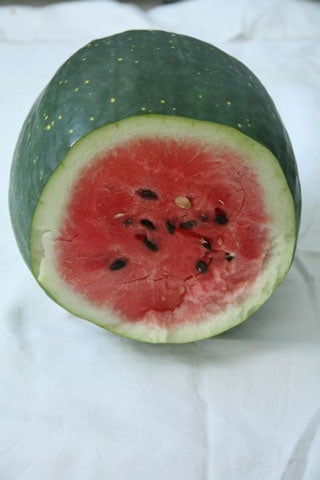 Varieties of Watermelon | Saveur