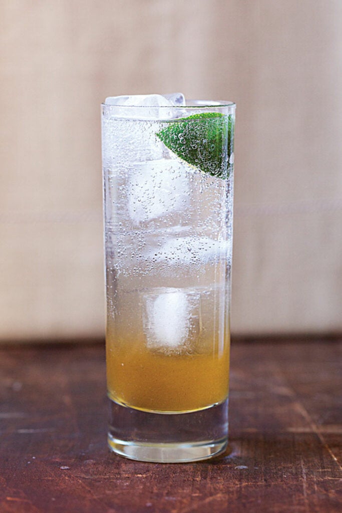 Gin and Tonic Recipes | Saveur