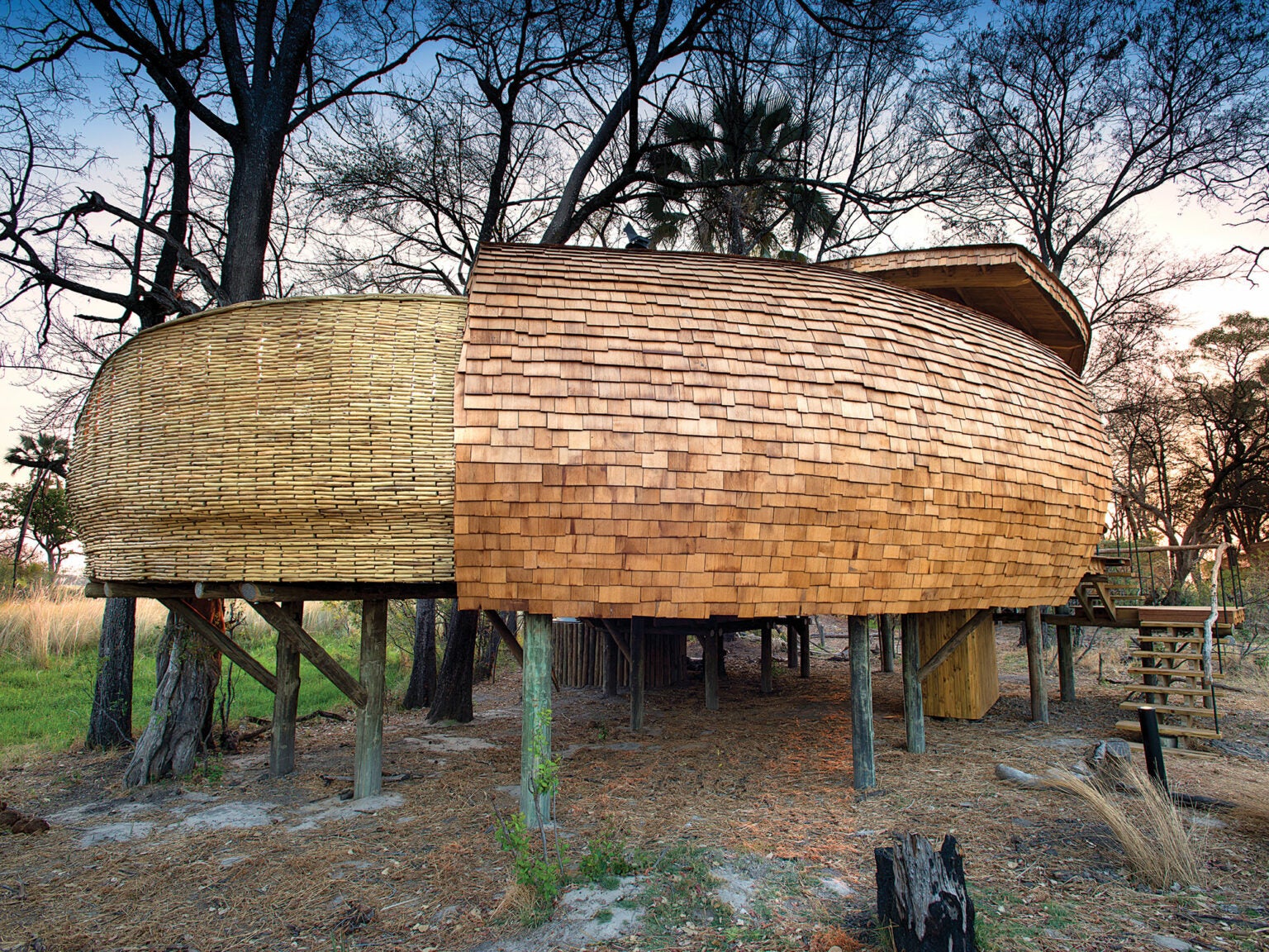 The Design Firm without Borders | Saveur