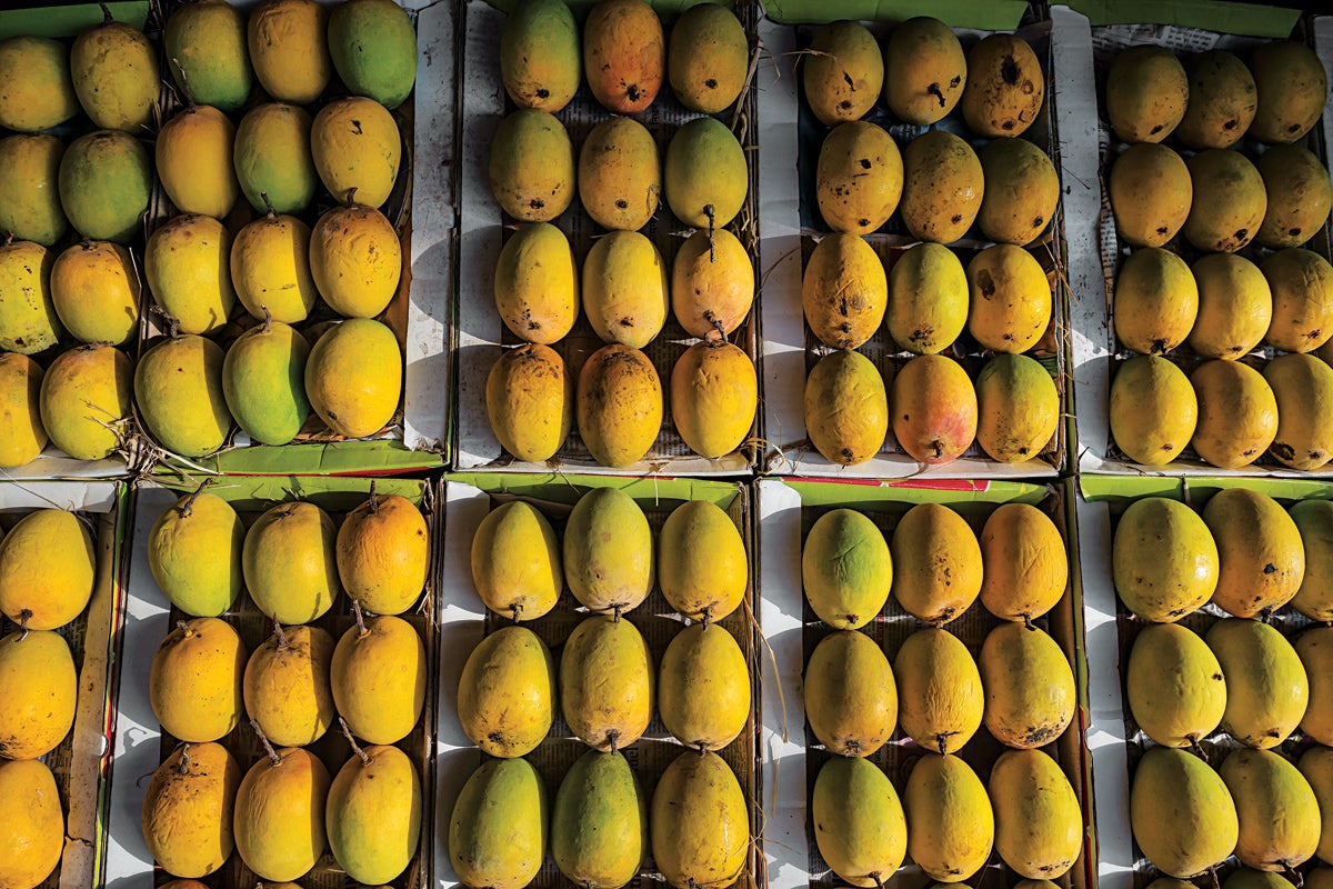 Mango: King of Fruits | Saveur