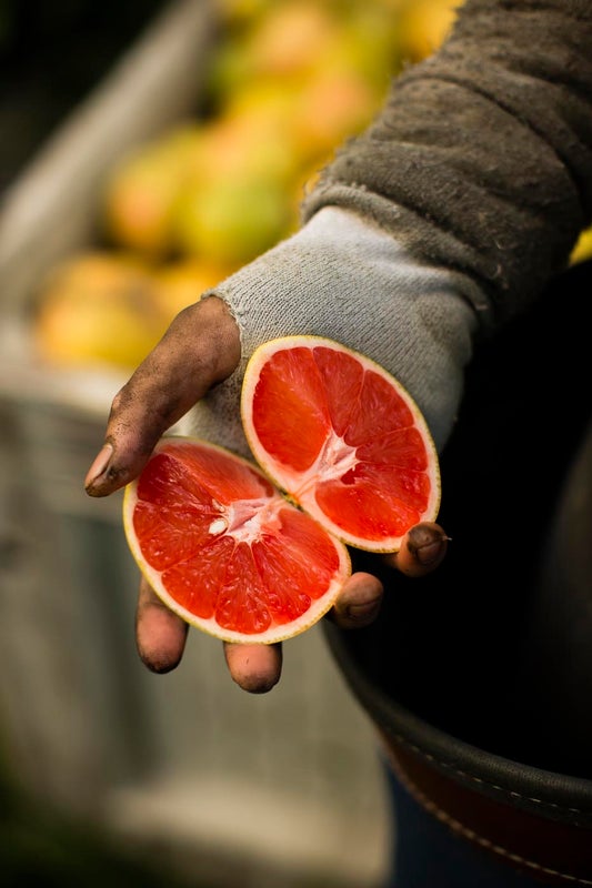 Behind the Scenes Grapefruit Photos