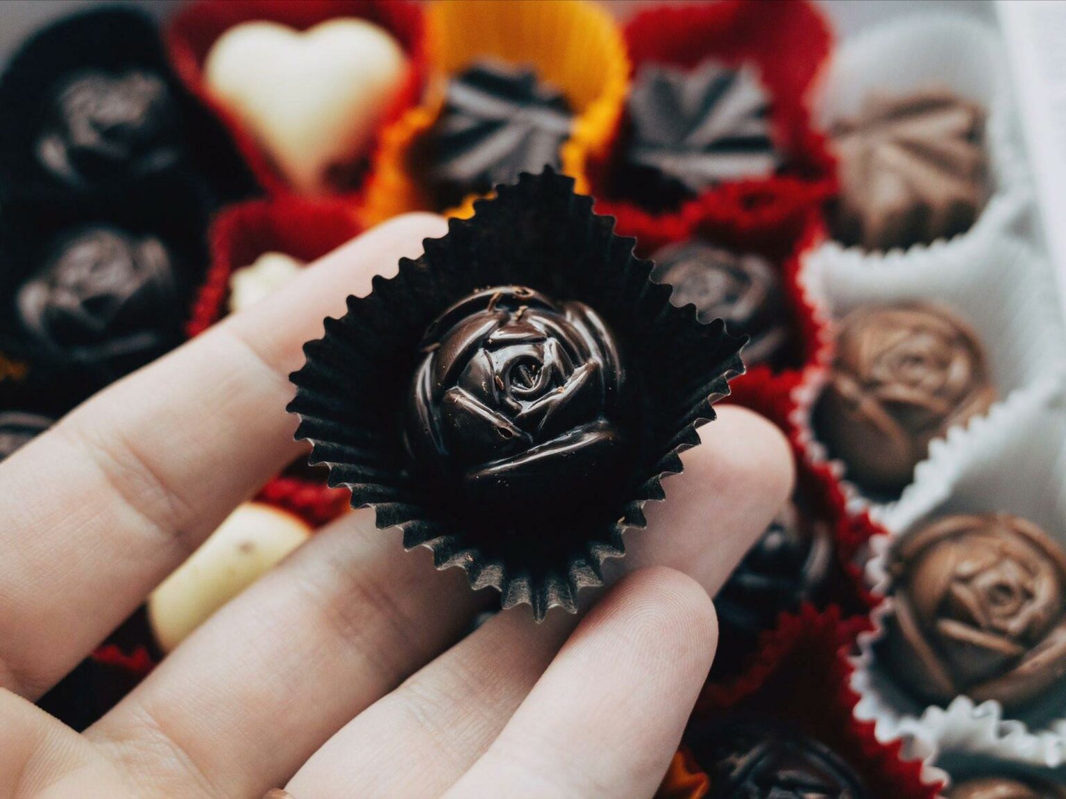 A Family of Syrian Refugees Have Launched Canada’s Hottest Chocolate ...