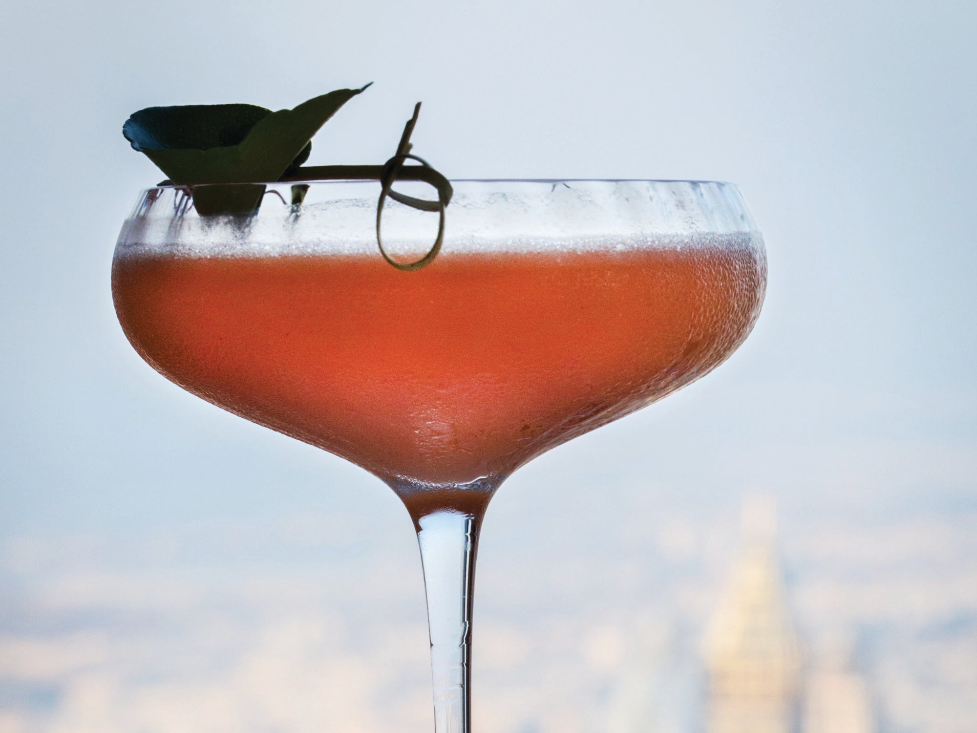 A Drink with a View | Saveur