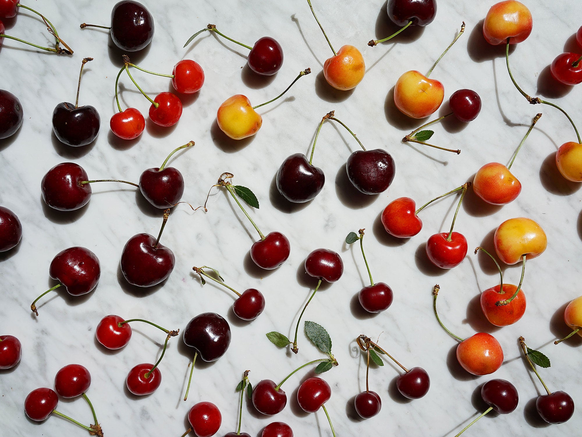 All the Crazy Things Farmers Do to Bring You Their Cherry Crop