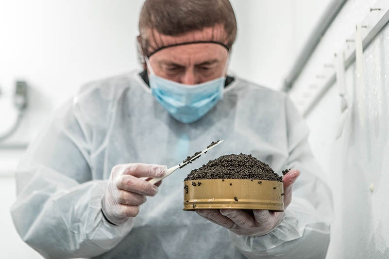 How America's Finest Caviar Gets Made | Saveur