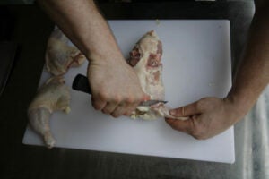 Deconstructing a Chicken | Saveur