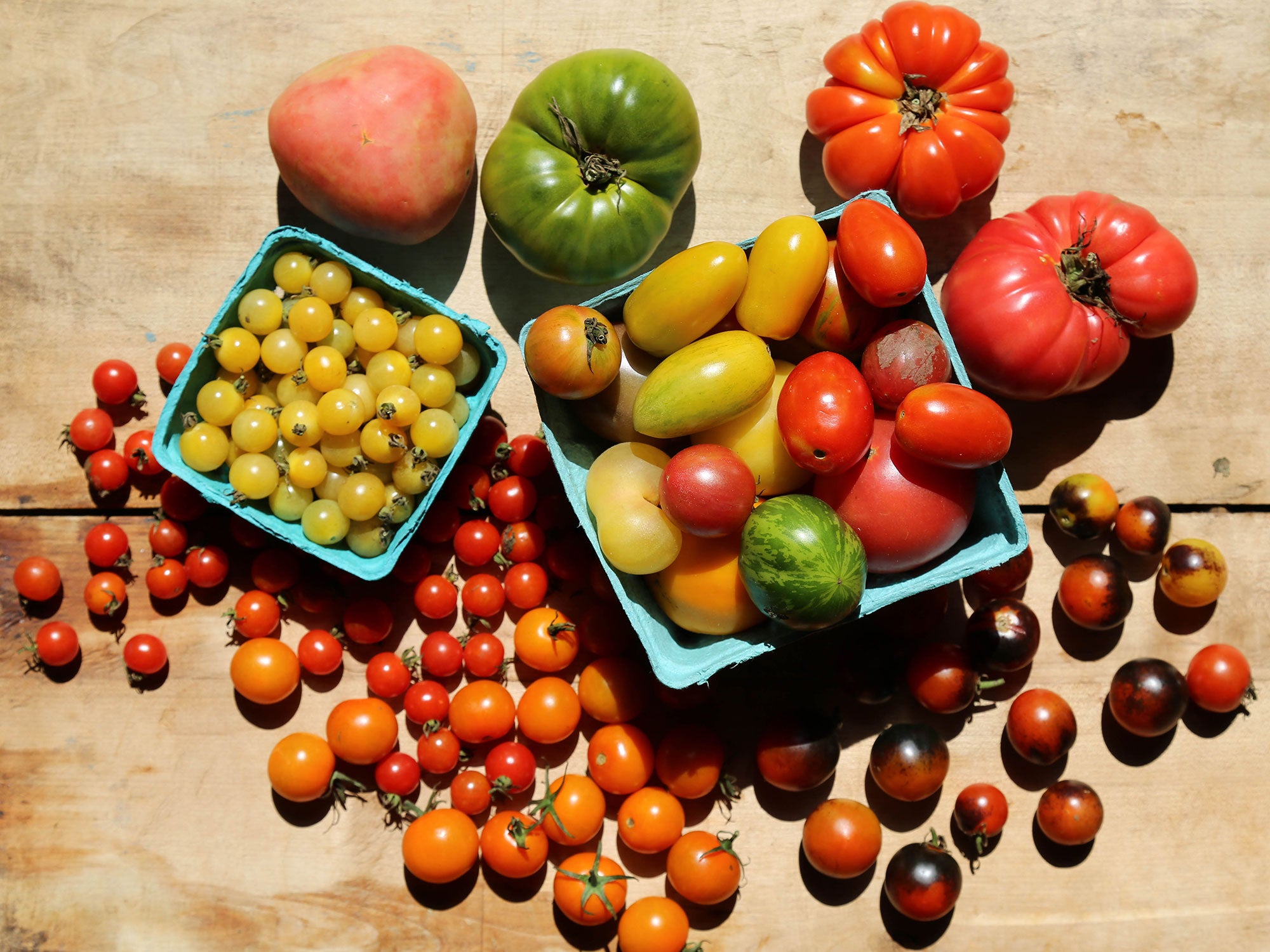 Listen to These Tomato-Mad Chefs on How to Make the Most of Your Summer ...