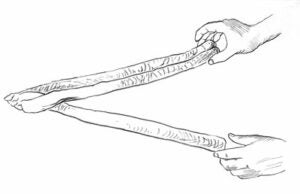 How to Braid Pulla | Saveur