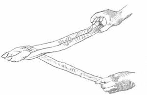 How to Braid Pulla | Saveur