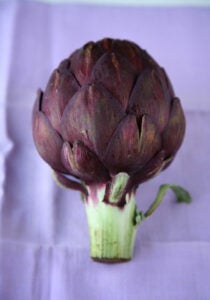 Artichoke Varieties | Saveur