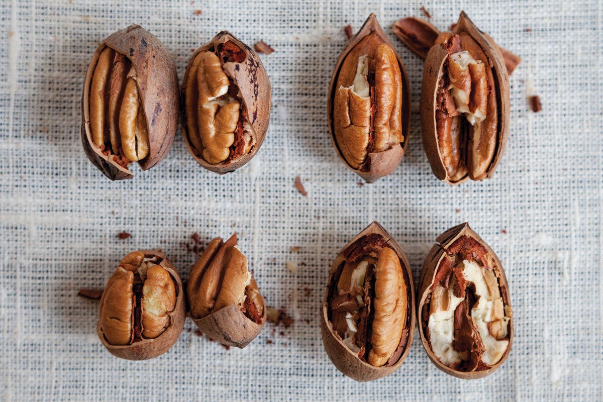 Difference Between Pecan And Walnut