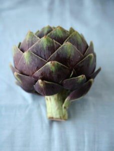 Artichoke Varieties | Saveur