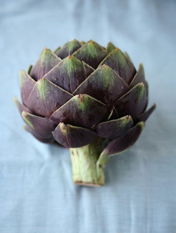 Artichoke Varieties | Saveur