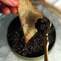 A Short Course on Caviar | Saveur