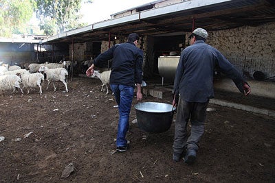 Scenes from Crete, Greece | Saveur