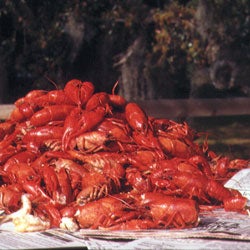 Crawfish Tales | Saveur