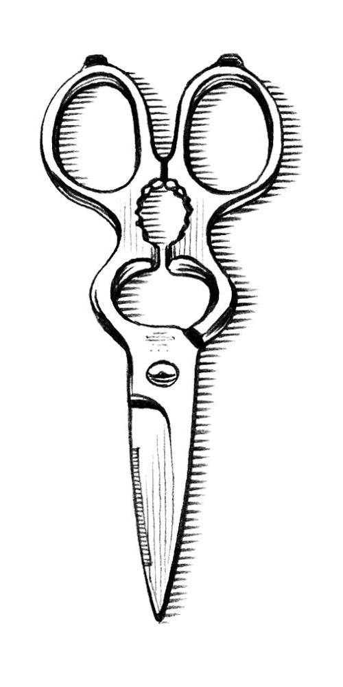 Kitchen Shears Drawing