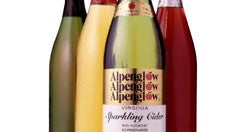 American Cider | Saveur