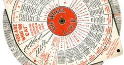 Meals on Wheels | Saveur