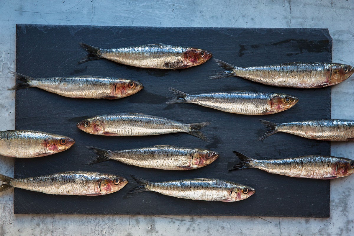 Sardine Recipes | Saveur