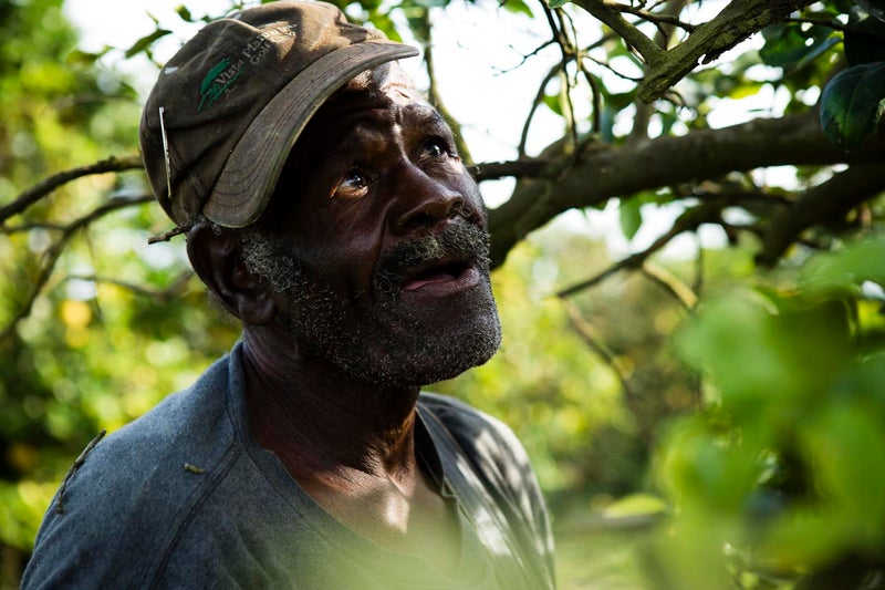 Behind the Scenes Grapefruit Photos