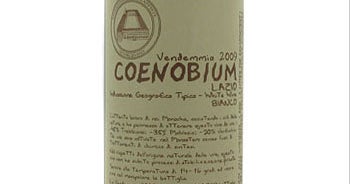 One Good Bottle: Coenobium | Saveur