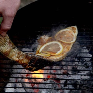 Hooked on the Half Shell | Saveur