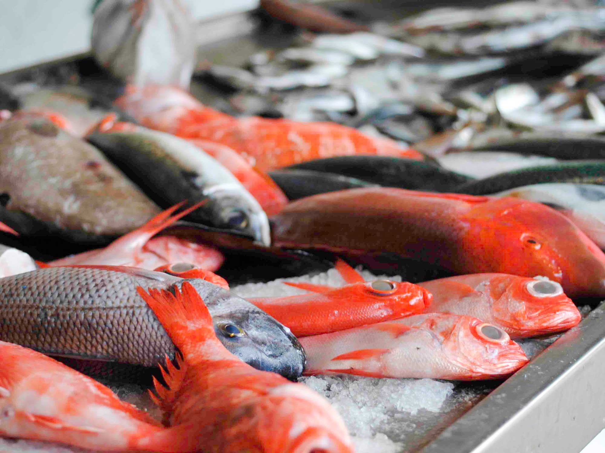 Shop at the Incredible Portuguese Market on This Tiny Island