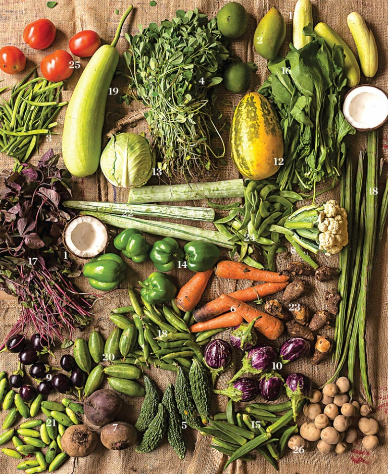 A Guide to Indian Produce | Saveur
