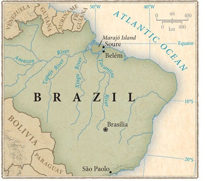 The Guide: Marajó | Saveur