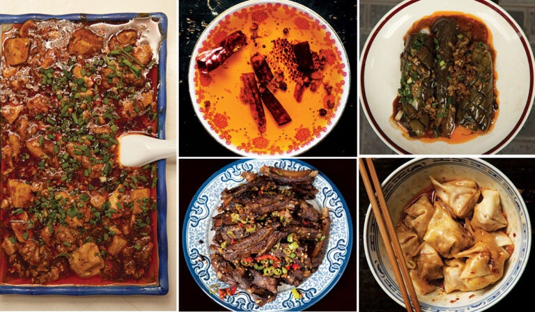 Menu: A Spicy Sichuanese Feast | Saveur