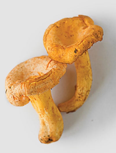 A Guide To Yunnan’s Wild Mushrooms | Saveur