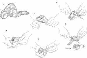 Frenching 101 | Saveur