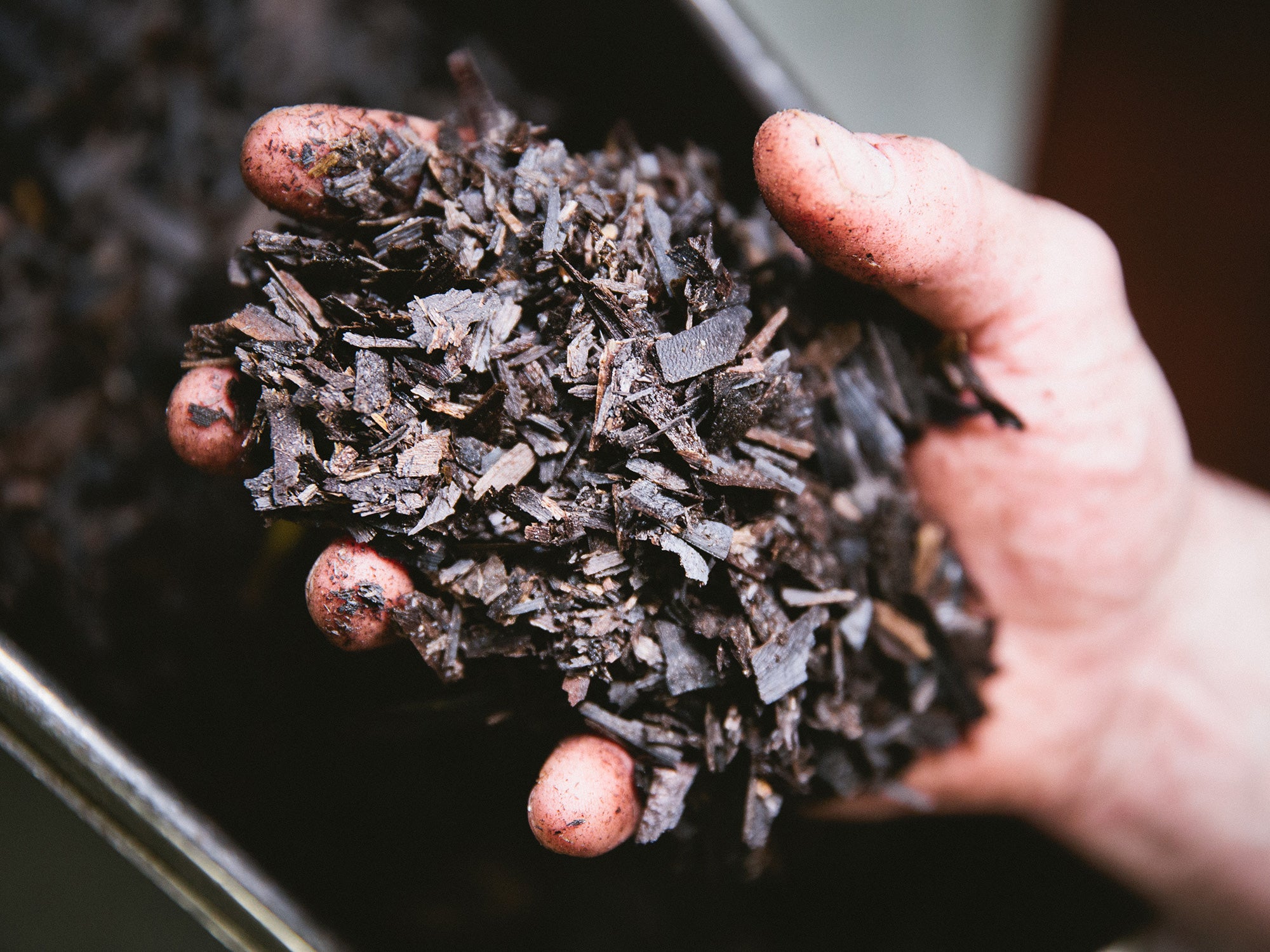 Burn Your Food | Saveur