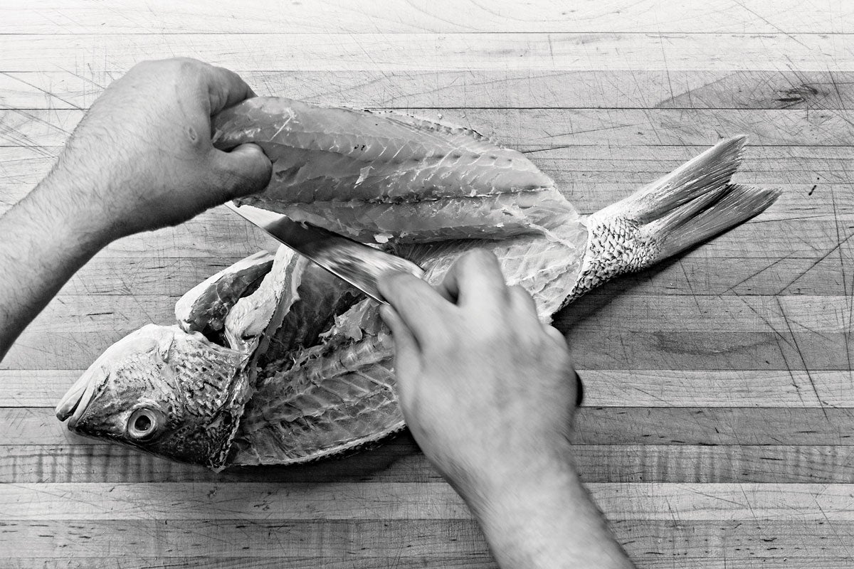 How to Fillet A Fish | Saveur