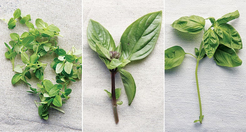 One Ingredient, Many Ways: Basil | Saveur