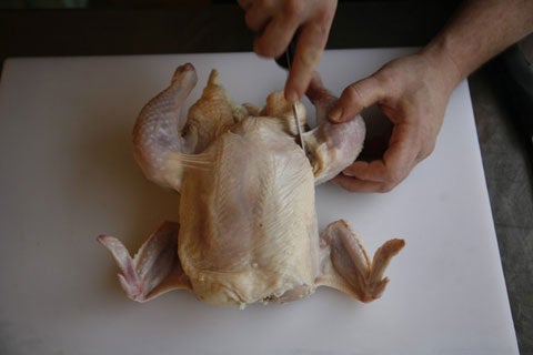 Deconstructing a Chicken | Saveur