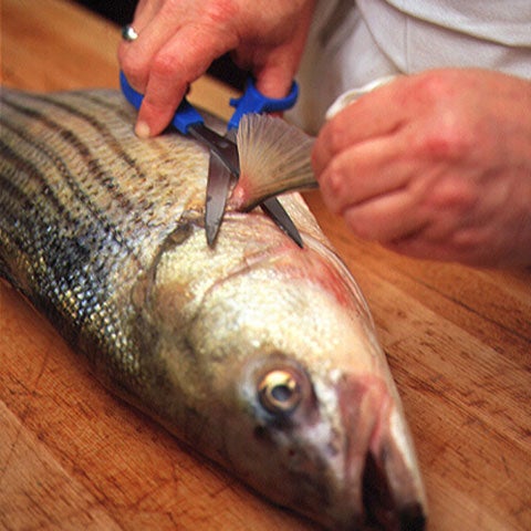 Cleaning Whole Striped Bass | Saveur