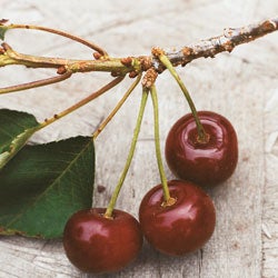 Sweet and Sour Cherries | Saveur