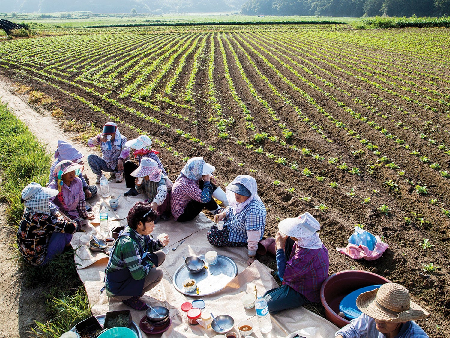 This Communal Meal Is How Korean Farmers Get Through the Day