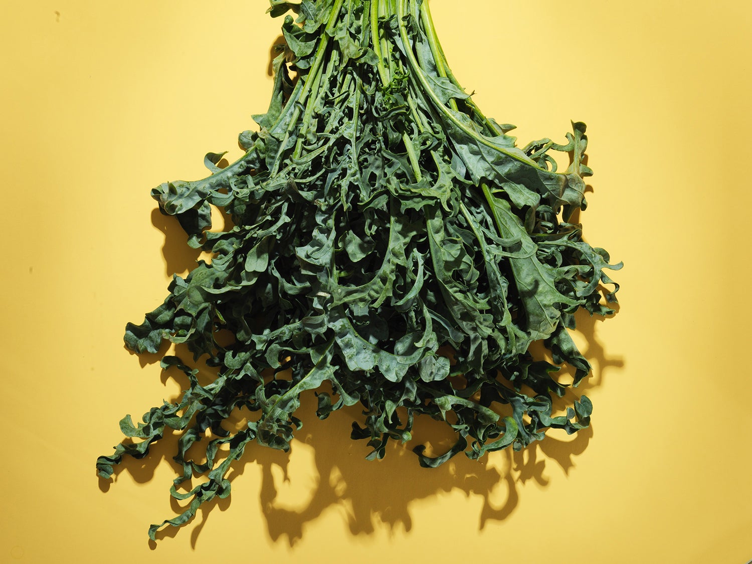 Here's the Coolest Farmers' Market Produce You Should Be Trying This Summer