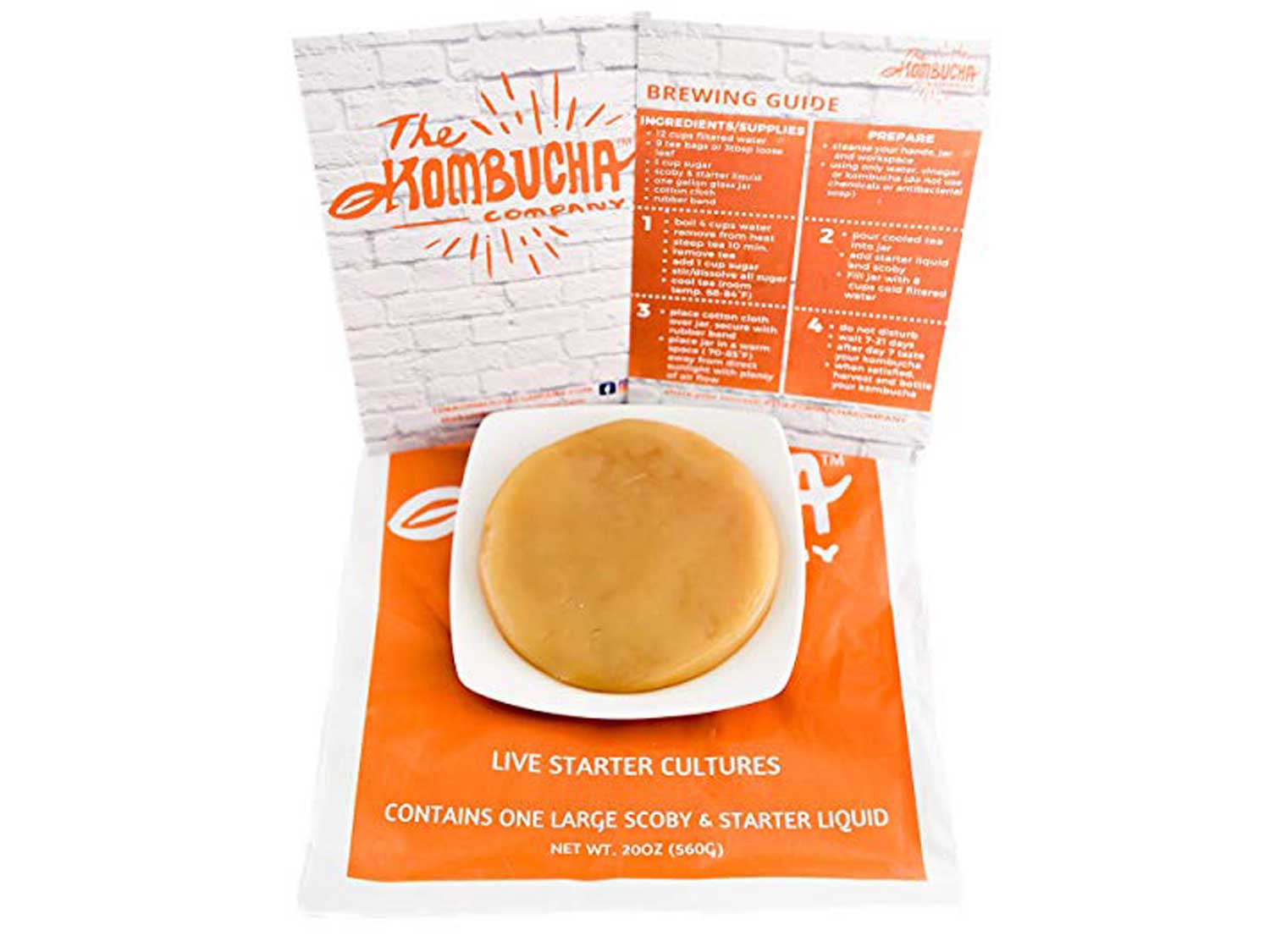 Giant Kombucha Scoby