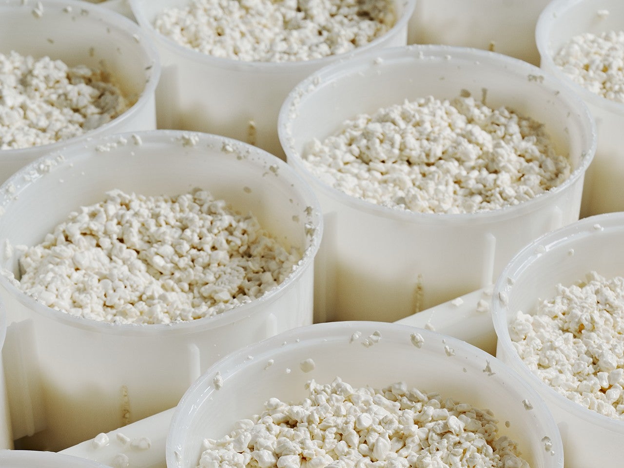 Will The American South Be The Next Big Cheese Region? | Saveur