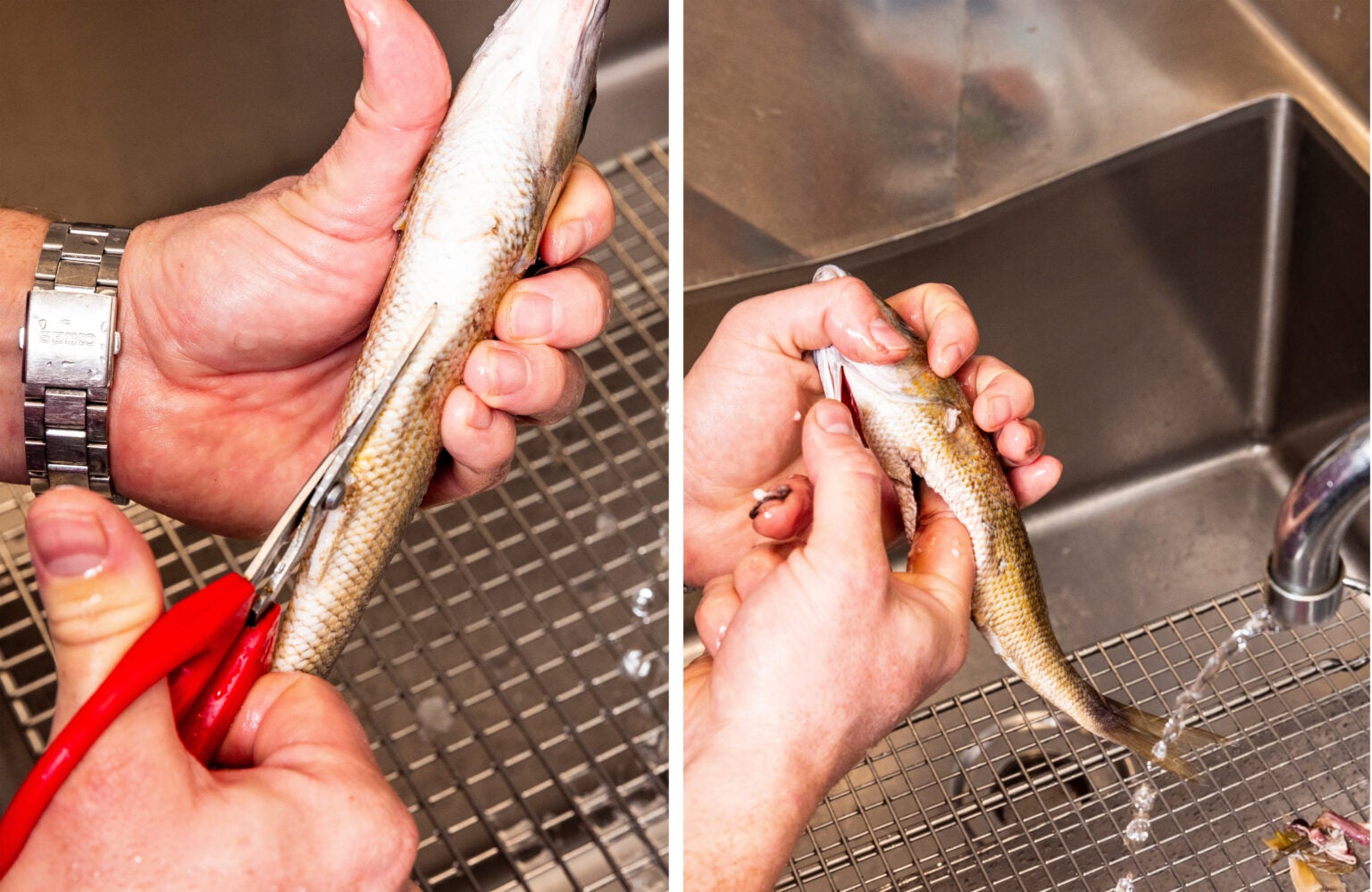 How To Clean a Fish | Saveur