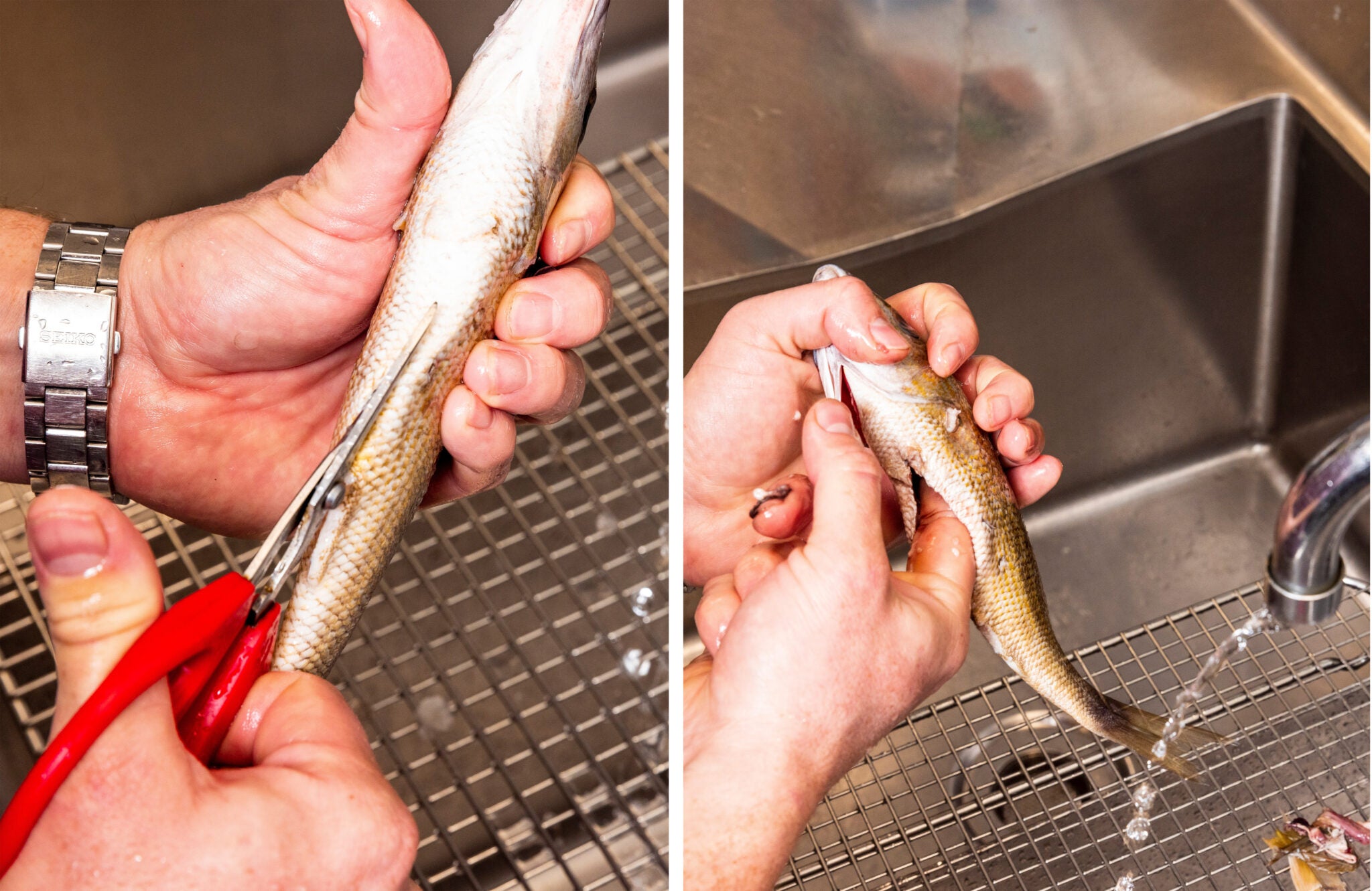 How To Clean a Fish | Saveur