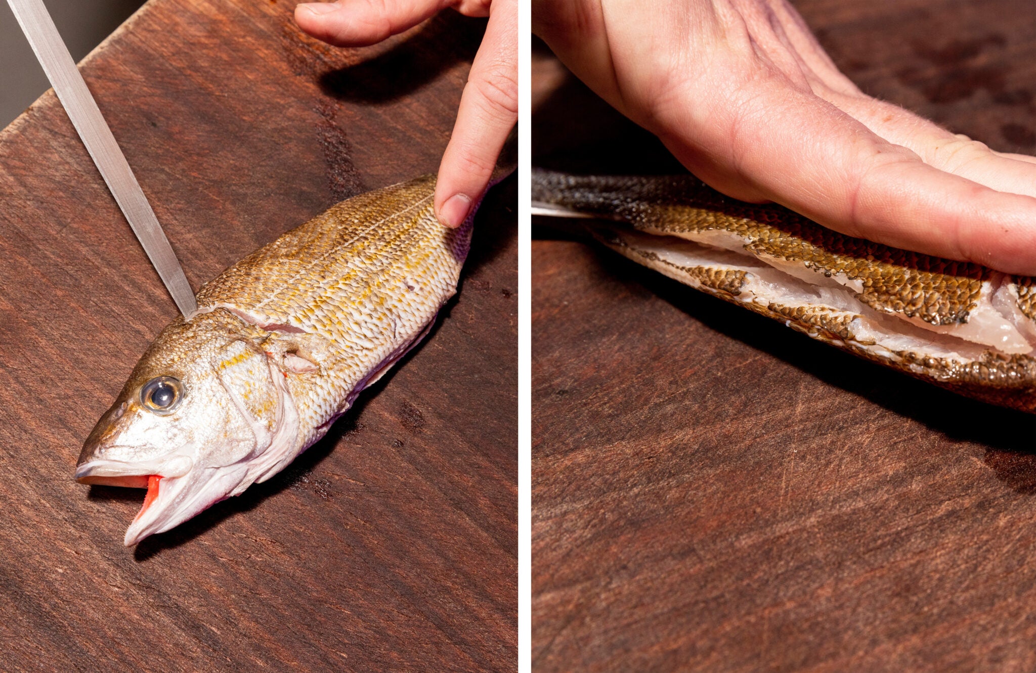 How To Clean a Fish | Saveur