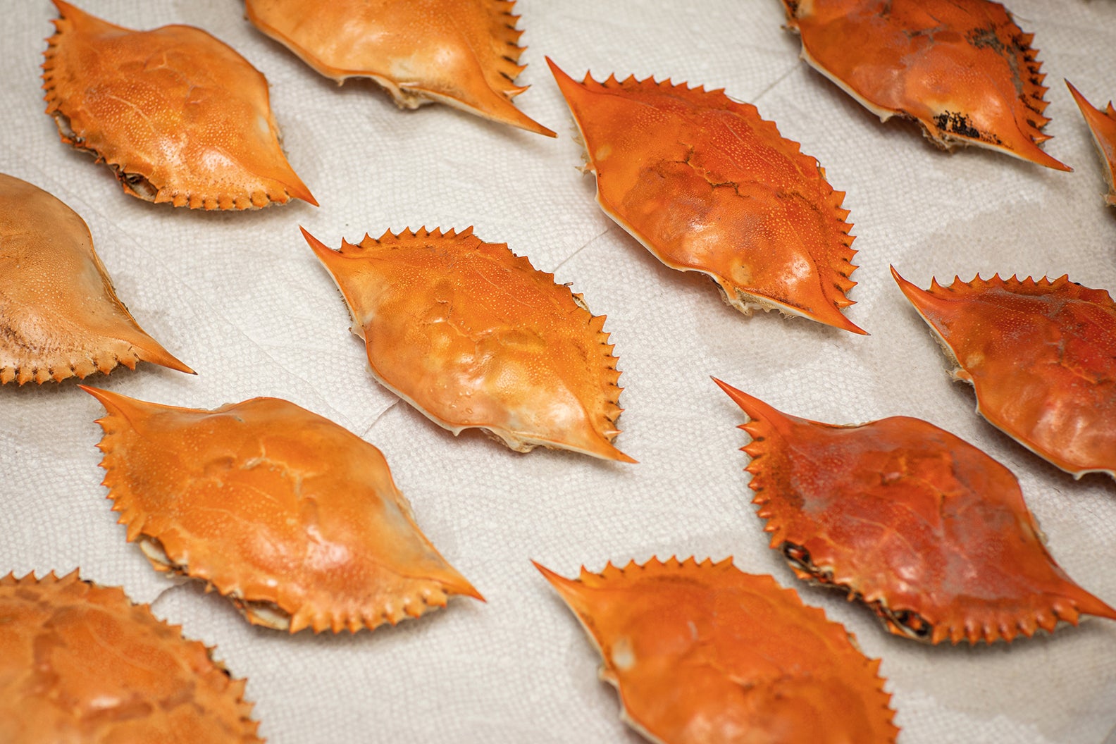 This Matriarch of Gullah Geechee Food Has Been Cooking Farm-To-Table ...